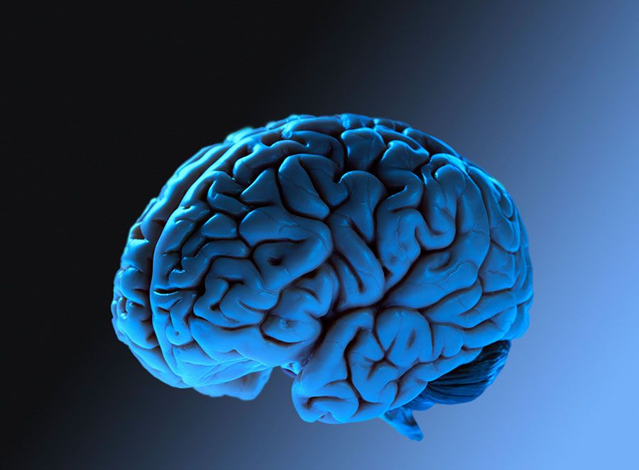 Recent Study Highlights 10 Factors Linked to Increased Alzheimer’s Risk