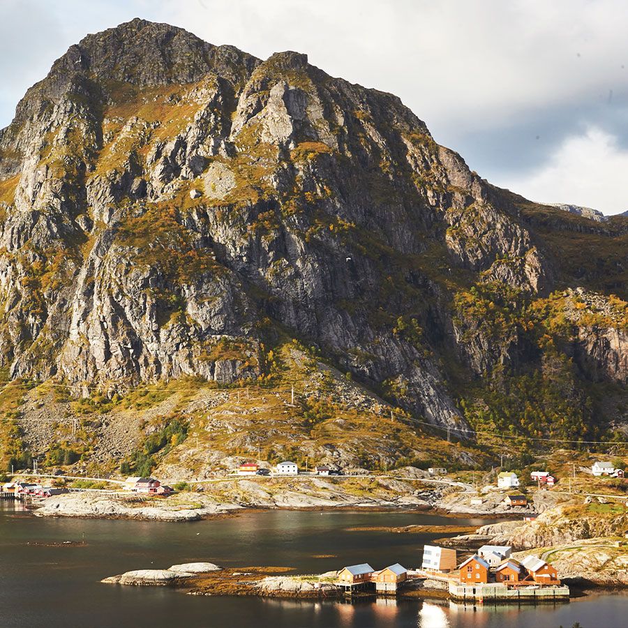 Forage, Fish, Feast: A Gourmand Adventure in Norway - Zoomer