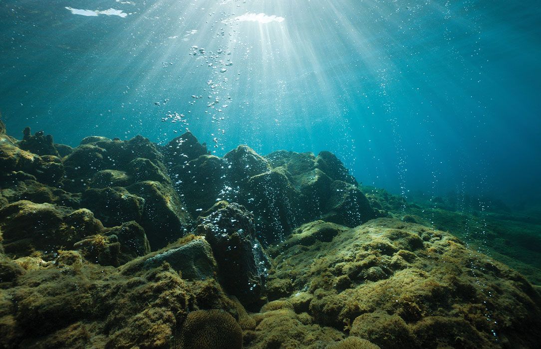Adventures Shared, From the Himalayas to Champagne Seas - Zoomer
