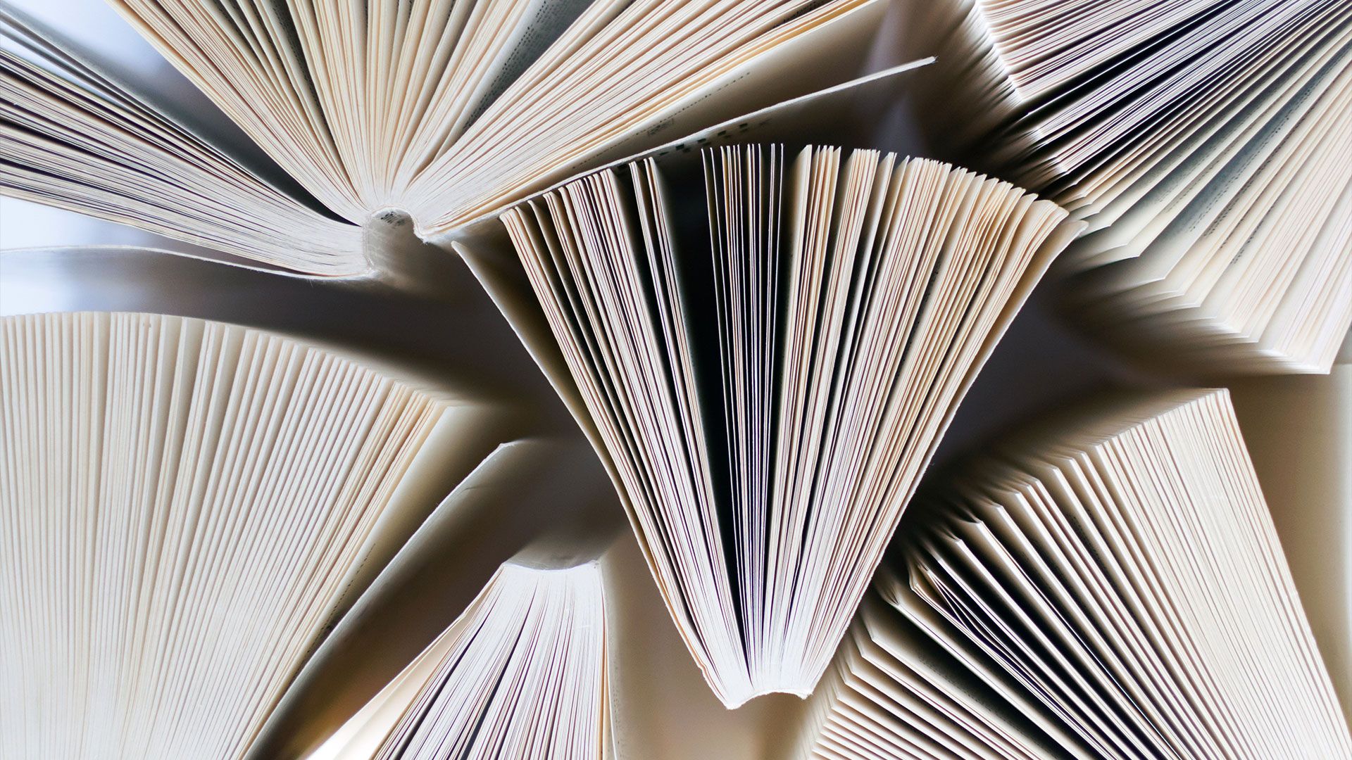 A Clean Slate: Rousing and Restorative Reads for 2026