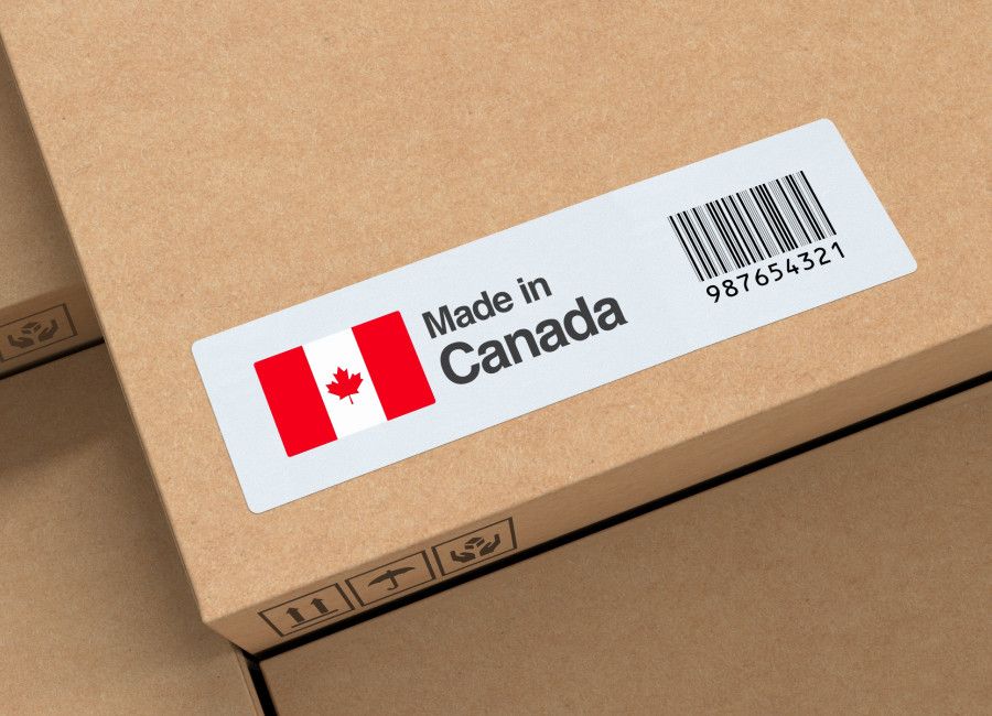 Own Canada’s Leaders with High Monthly Income - Zoomer